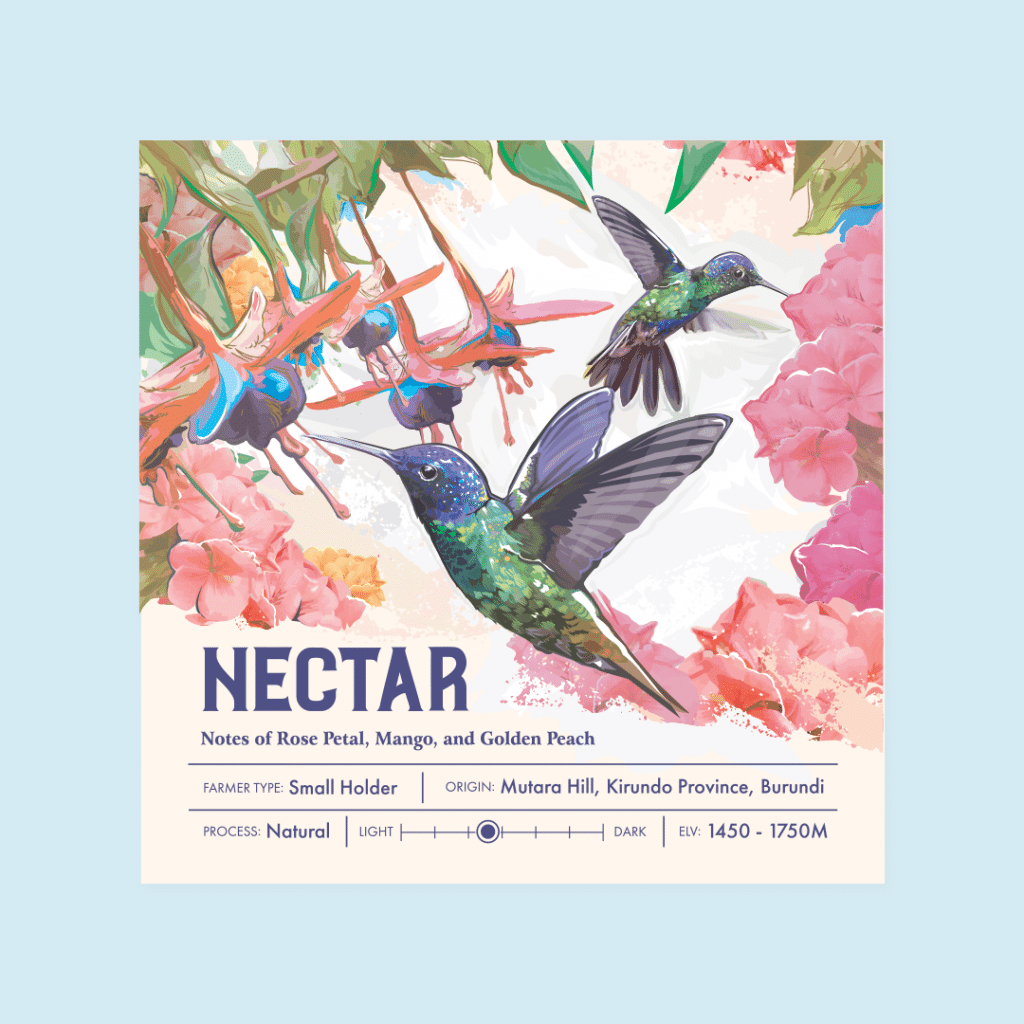 Coffee Birdhouse Coffee